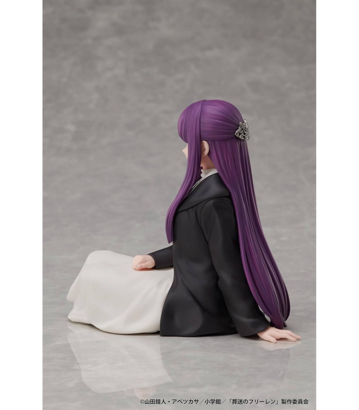 Frieren: Beyond Journey's End Fern eI COCO - El Mundo de Eli